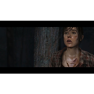 Heavy Rain and Beyond Collection (PS4)