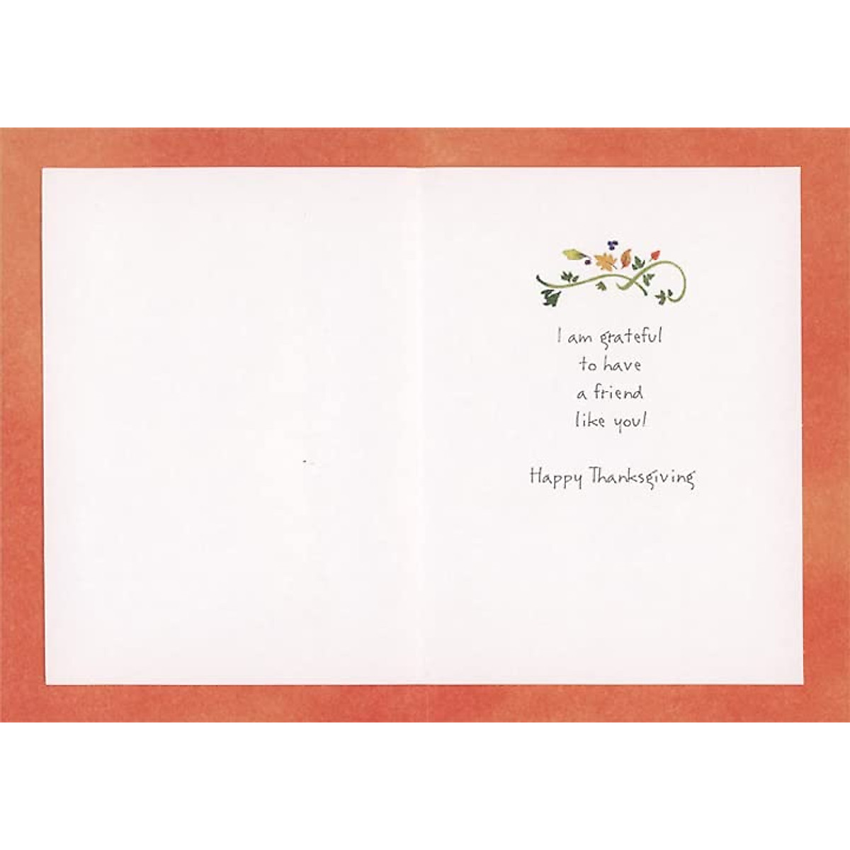 American Greetings Sparkling Swirls, Grapes and Leaves: Most Grateful Thanksgiving Card for Friend