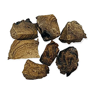 Solo Therapy High John The Conqueror Root, 0.5 oz, Ipomoea Jalapa, High John Root, for Spells, Magick, Charms, Drawing Luck, Financial Success, Increasing Love, Luck and Justice