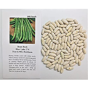 David's Garden Seeds Bean Bush Blue Lake 274 FBA-00015 (Green) 100 Non-GMO, Heirloom Seeds