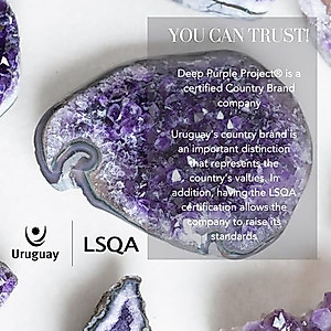 DEEP PURPLE PROJECT Amethyst Crystal Geode Spiritual Healing Rocks Cluster Quartz Stone (250 grams or less, Amethyst Purple)