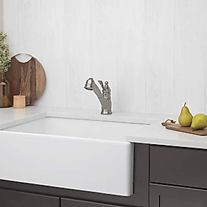 Aqua Vista 23-K81CO-BN-AV Singe Lever Kitchen Sink Faucet, Pull-Out Brushed Nickel