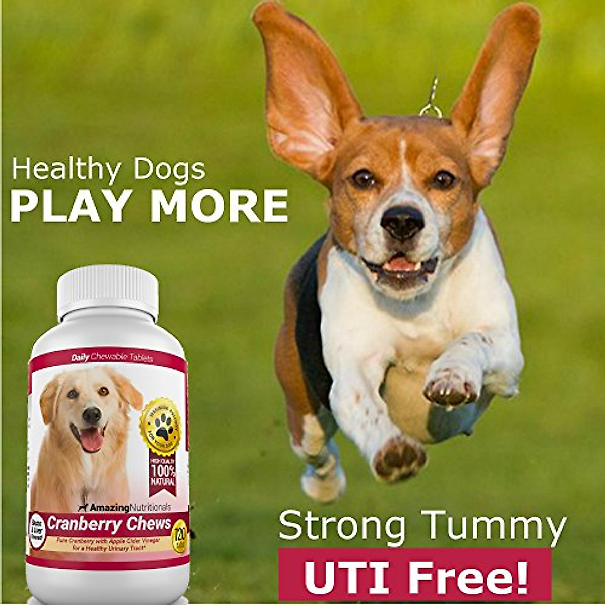 Amazing Cranberry for Dogs Pet Antioxidant, Urinary Tract Support Prevents and Eliminates UTI in Dogs, 120 Chews