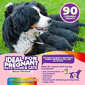 Prenatal Dog Vitamins – Multivitamin for Dogs and Cats with Folic Acid, Minerals and Amino Acids. Ideal for Pregnant, Breast Feeding and Newborn Pets – Senior Dog Supplement, Complete Puppy Vitamins.