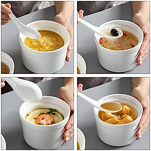 Hemoton 2pcs Ceramic Stew Pot with Lid Small Steam Soup Bowl Steaming Cup Japanese Serving Dish Seasoning Jar Sugar Pot for Egg Custard Medicinal Birds Nest Appetizer