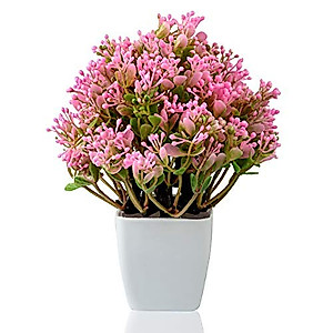 Geode Presents Beautiful Artificial Bonsai Plant with Pot, Bonsai Tree & Plant | Bonsai Tree for Indoor Office Home Decor Showpiece Pack 0F 1 Pc #Aport-681