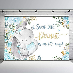 Avezano Boy Elephant Baby Shower Backdrop Blue Floral Rpse Jungle Elephant Baby Shower Background Vinyl Blue and Gold Elephant Baby Shower Party Decorations Backdrops for Boys (8x6)