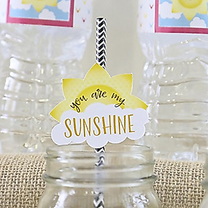 Big Dot of Happiness You are My Sunshine Paper Straw Decor - Baby Shower or Birthday Party Striped Decorative Straws - Set of 24