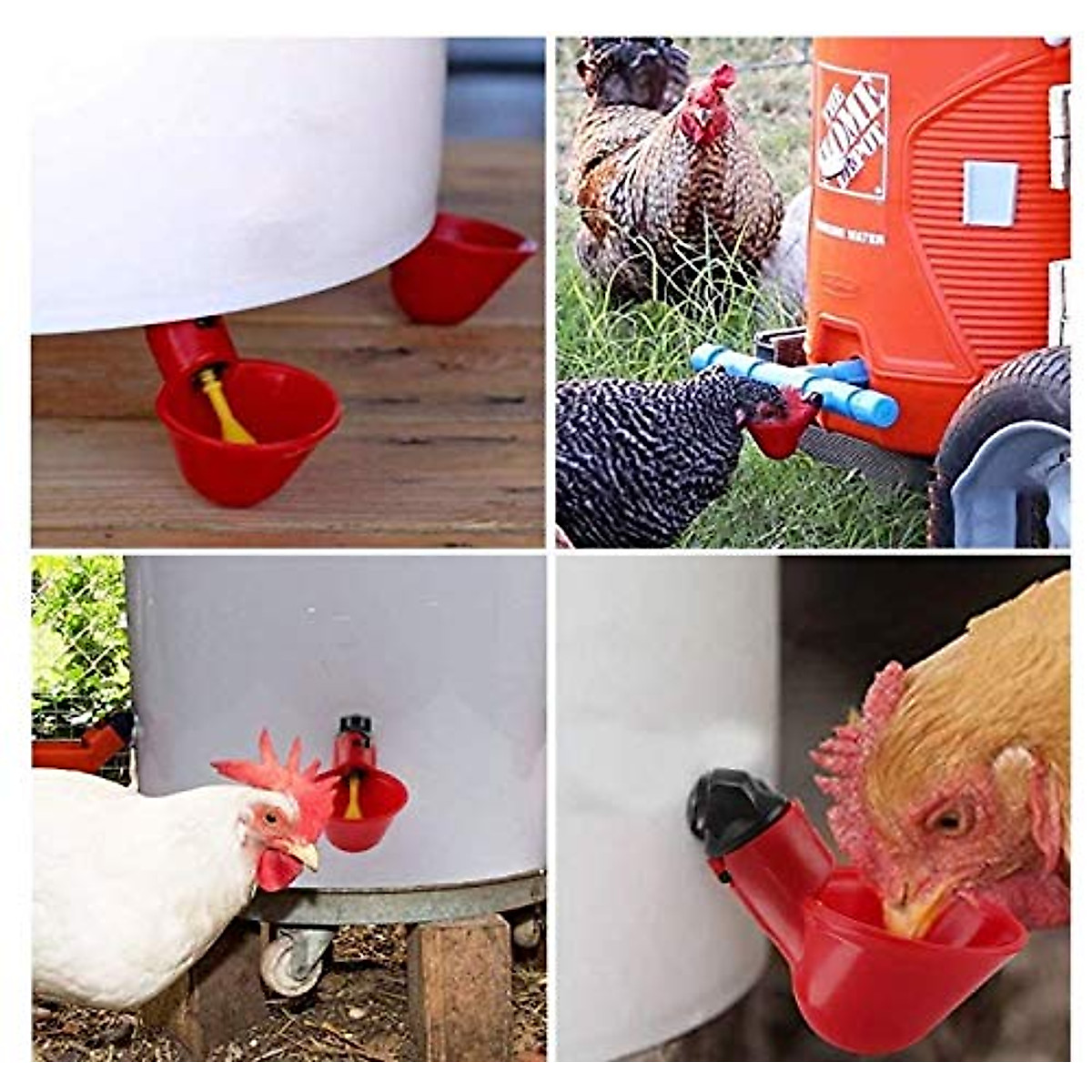 LIUSM 15 Pcs Chicken Water Bowls with Nuts, Plastic Poultry Waterer Feeder Breeding Equipment for Chicken Bird Quail Drinker