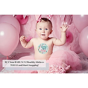 28 Pack Baby Monthly Milestone Stickers for Girls