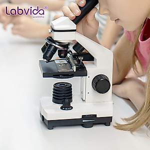 Labvida 72pcs x 20 Boxes of Pre-Cleaned White Color Frosted Microscope Slide, Dim.75mmx25mm, Super Grade Glass, Ground Edges, 45° Safety Corners, LVQ034WX