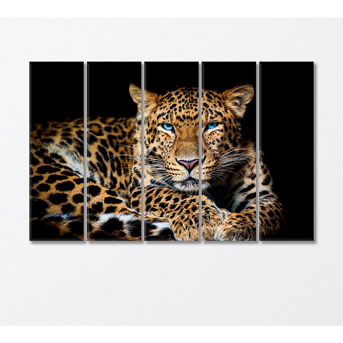 Northern Chinese Leopard with Extraordinary Blue Eyes Canvas Print 5 Panels / 36x24 inches