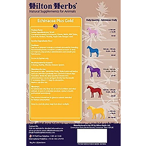 Hilton Herbs Echinacea Plus Gold Liquid Herbal Immunity Supplement for Horses, 2.1pt Bottle