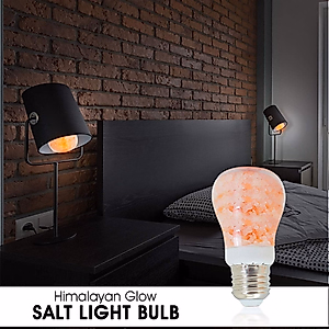 Himalayan Glow Salt Light Bulbs 60-Watt Equivalent, Warm Amber Glow, 7 watts, 2 Count (Pack of 1)
