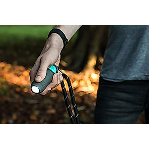 KONG HandiPOD - Mini Flashlight Dispenser - Dog Waste and Small-Sized Poop Bag Dispenser with Built-in Flashlight - Includes Leash Clip - Light Grey - Small