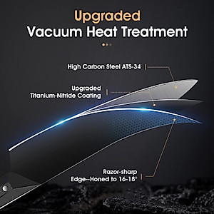 Huusk Japan Knife, AUS 8 Stainless Steel Japanese Chef Knife 8" Black Titanium Coated Blade Ergonomic G10 Handle with Sheath, Cool Gyuto Knife Full Tang Cooking Knife