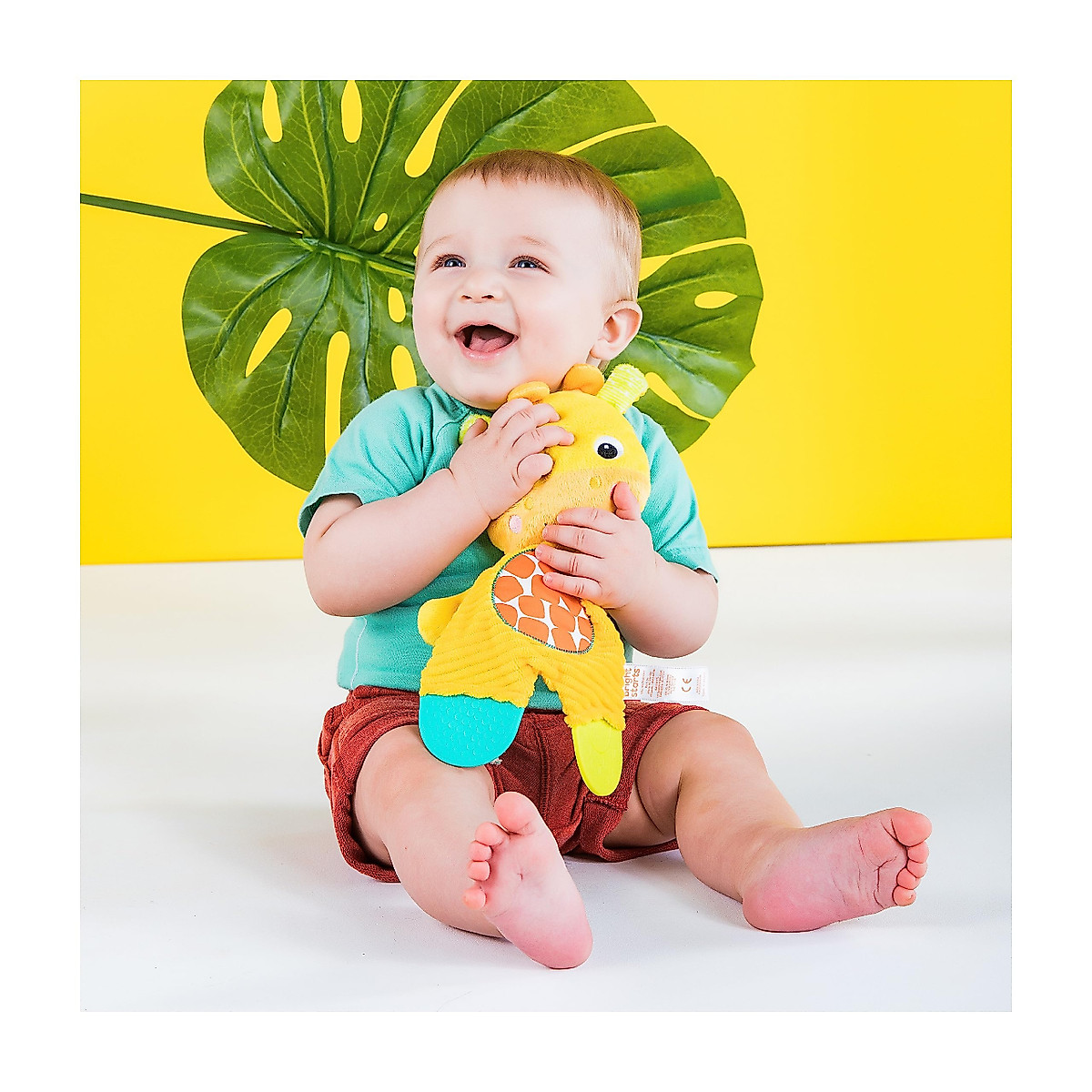 Bright Starts Snuggle Teethe Plush Teething Baby Toy - Giraffe, Crinkle Fabric, Ages 0 Months