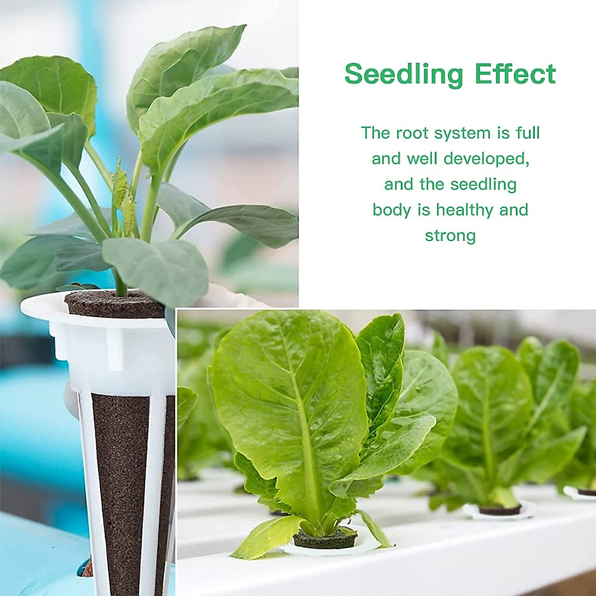 Lawdiey 30 Pack Grow Baskets, Replacement Grow Baskets Compatible with Hydroponic Growing System,Durable Plastic Plant Growing Containers