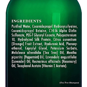 Botanic Hearth Tea Tree Shampoo, Conditioner & 16 oz Shampoo Bundle