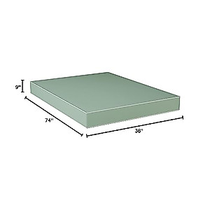Greaton, 9-Inch Medium Firm Pocket Coil Water-Resistance Vinyl Mattress, Easy to Clean, Comfortable & Noise Free, Twin, Green