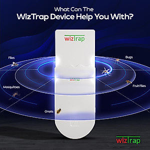 WizTrap MiniMax Plug in Fruit Fly Traps for Indoors! A Flying Insect Trap with UV LED Bulbs & 5 Glue Board Refills! Gnat Trap Used as a Fruit Fly Killer, Indoor Fly Trap, Mosquito Trap, Gnat Killer!