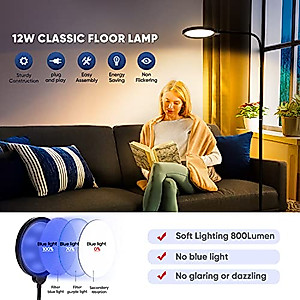 LED Floor Lamp, 12W Dimmable Standing Pole Reading Lamp 10 Brightness Levels&3 Color Temperature, Bright Gooseneck Adjustable Black Floor Lights, 800LM LED Task Lighting for Living Room Bedroom Office