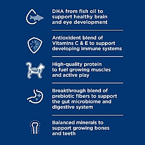 Hill's Science Diet Kitten, Kitten Premium Nutrition, Dry Cat Food, Chicken Recipe, 15.5 lb Bag