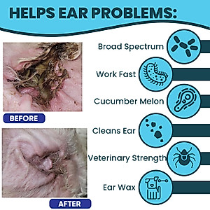 Pet Health Pharma Truseb | Dog Ear Flush Ketoconazole Dog Ear Wash, Cats and Horses, Ketoconazole Tris Ear Flush for Dogs (12 oz) Made in U.S.A (Ketoconazole Ear Flush, 12 oz)