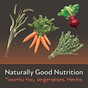 Kaytee Field+Forest Chinchilla Food 3 Pounds