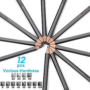 Dyvicl Professional Drawing Sketching Pencil Set - 12 Pieces Drawing Pencils 10B, 8B, 6B, 5B, 4B, 3B, 2B, B, HB, 2H, 4H, 6H Graphite Pencils for Beginners & Pro Artists
