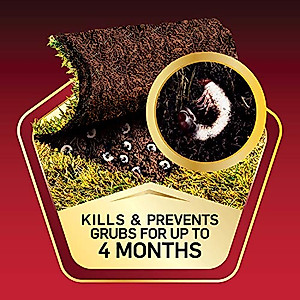 Scotts GrubEx1 - Grub Killer for Lawns, Kills White Grubs, Sod Webworms and Larvae of Japanese Beetles & More, Lawn Treatment for Season Long Grub Control, Treats up to 10,000 sq. ft., 28.7 lb.