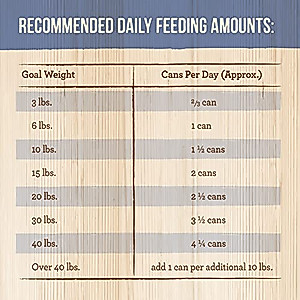 Merrick Grain Free Wet Puppy Food Puppy Plate Beef Recipe - 12.7 Ounce (Pack of 12)