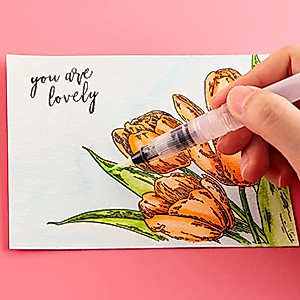 8 Pcs Alcohol Ink Blending Tool Set Including 6 Pcs Water Color Brush Pen 2Pcs Ink Air Blower for DIY Paint Tools Water Color Brush Pen Card Making Embossing Painting Rendering