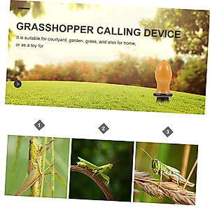 1pc Caller Yard Supply Garden Sound Simulator Insect Sound Imitating Toy Call Simulator Insect Calling Plaything Yard Decoration Insect Calling Device Yard Sound Toy