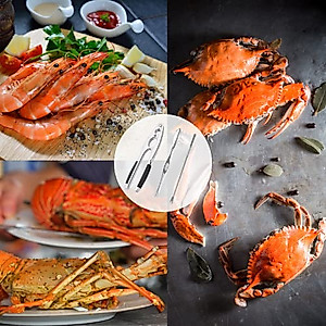 LOCEAST 1 PCS Nut Crackers Heavy Duty Walnut Cracker with Non-Slip Handle Nut Crackers Tools with 2 PCS Forks Nutcracker Pecan Walnut Plier Clip Tool