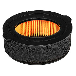 HIFROM Replacement Air Filter Pre Cleaner Assembly Replacement for Troy Bilt Roto-Tiller 951-10794 751-10794 (Pack of 1)