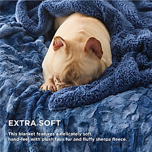 Bedsure Fuzzy Blanket Twin Size - Indigo, Soft and Comfy Sherpa, Plush and Furry Faux Fur, Reversible Twin Blankets for Couch, Sofa and Bed, 60x80 Inches