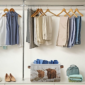 Scottish Highland Cow Storage Basket Fabric Storage Bin Baskets Bull Farmhouse Funny Animal Foldable Storage Boxes Bag for Baby Cloth Dog Toy Book Storage Cubes Shelf Closet Basket 16×12×8 Inches