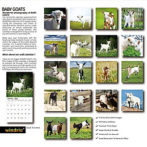 2024 2025 Wall Calendar,14 Monthly Wall Calendar Beautiful World Nov. 2024 - Dec. 2025, 12" x 18.2" Opened,Full Page Months Thick Paper for Gift Calendar Organizing & Planning