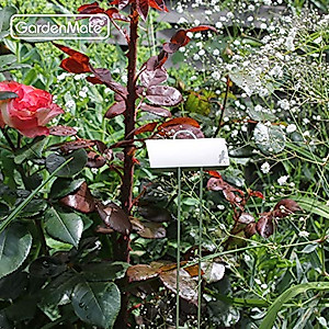 GardenMate 25-Pack Weatherproof XL Metal Plant Labels, Height 21", Label Area 3 1/2'' x 1 1/4''