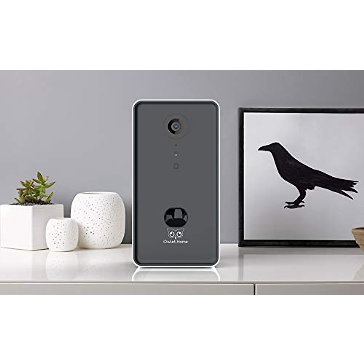 Owlet Home Pet Camera with Treat Dispenser Tossing for Dogs/Cats, 2.4Ghz & 5Ghz WiFi, 1080P Camera, Live Video, Auto Night Vision, 2-Way Audio, Compatible with Alexa, pre-Recorded Voice Message