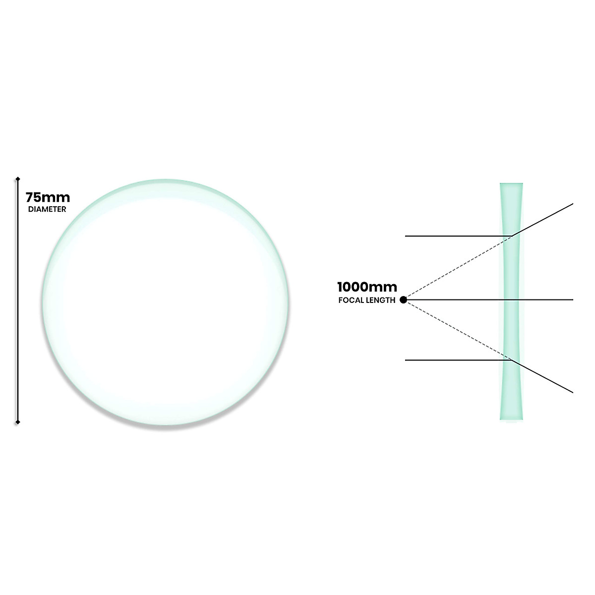 EISCO Double Concave Lens, 1000mm Focal Length, 3" (75mm) Diameter - Spherical, Optically Worked Glass Lens - Ground Edges, Polished - Great for Physics Classrooms