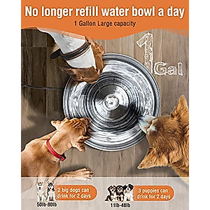 oneisall Cat Water Fountain,3.6L /123OZ Automatic Stainless Steel Pet Water Fountain for Dog Cat,Dog Water Bowl Dispenser with Ultra-Quiet Pump for Multiple Pets