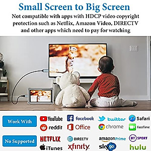 lulaven HDMI Cable for iPhone to TV, Lighting to HDMI Adapter Connector Compatible with iPhone14, 13, 12, 11 & YouTube TV Output with 1080P HD Display, Just Plug and Play (13.2FT, Gray)