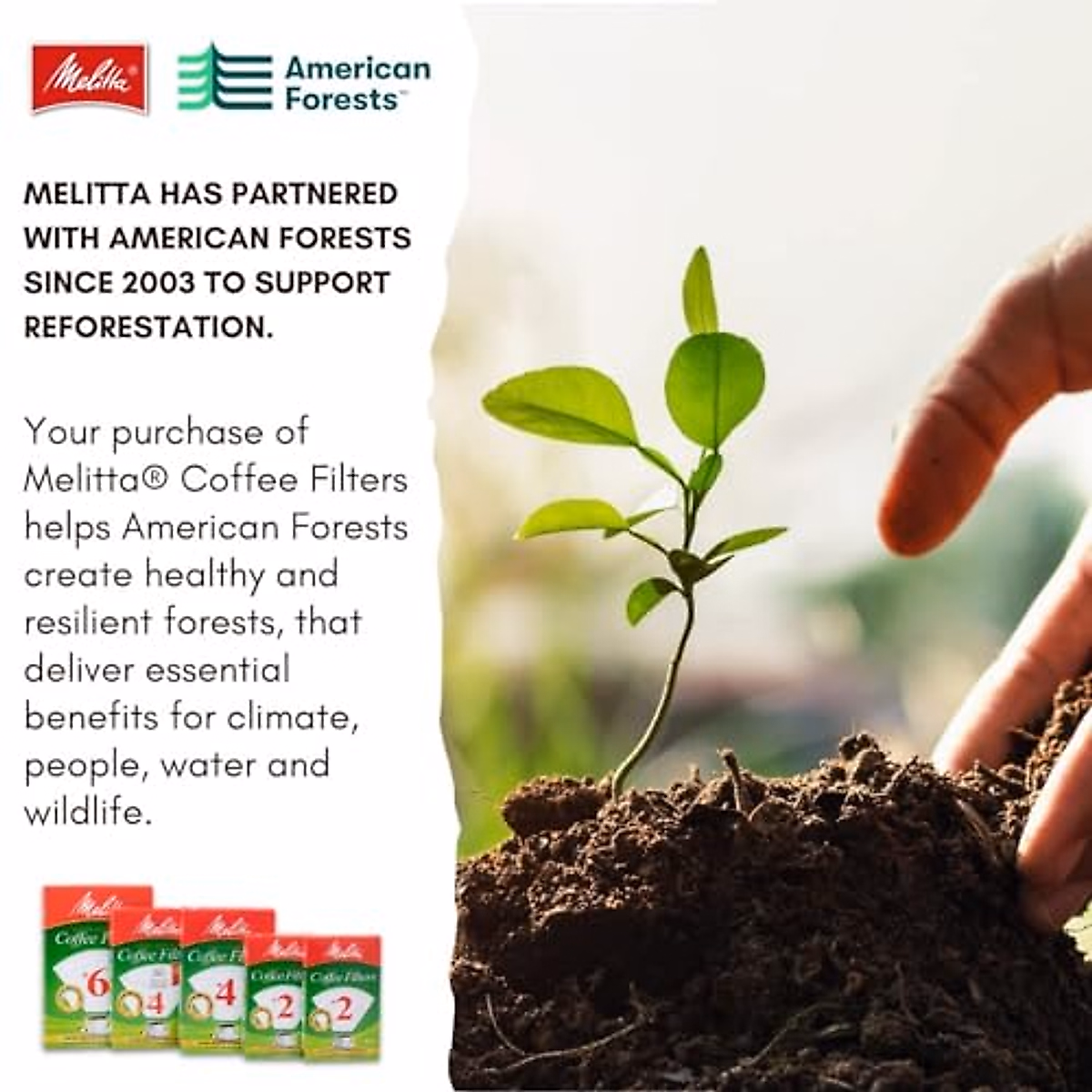 Melitta 4 Cone Coffee Filters, Unbleached Natural Brown, 100 Total Filters Count - Packaging May Vary