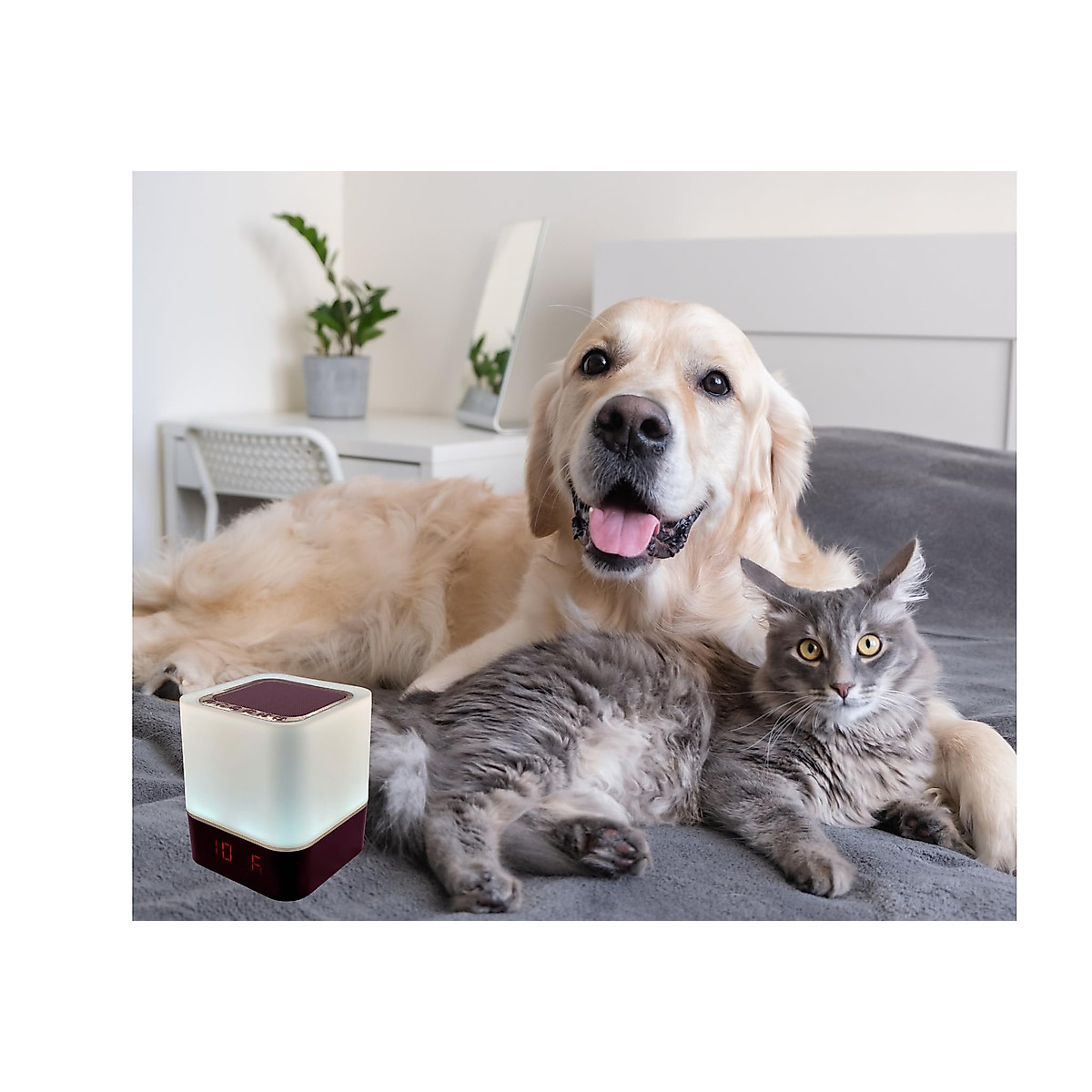 PET Tunes PRO- A Multisensory Calming Music Speaker for Dogs ad Cats- Veterinary, Kennel and Home
