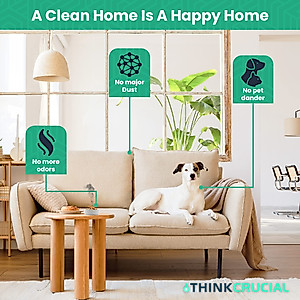 Dyson Vacuum Hose Replacement Compatible - DC07 Part# 904125-14, 904125-07 & 904125-51 - Think Crucial Vacuum Replacement Parts