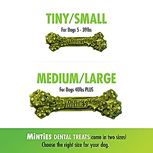 Minties VetIQ Dog Dental Bone Treats, Dental Chews for Medium/Large Dogs (Over 40 Lbs), 32 Ounces, Green, 40 Count