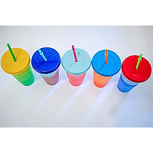 Color Changing Cups: 24oz Cold Cups - 5 Reusable Cups, Lids and Straws - Stocking Stuffers - Christmas Present, Set of 5, …