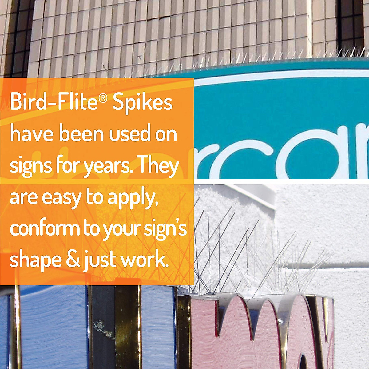 Bird Barrier Bird-Flite Stainless Steel Bird Spikes | Metal Pins Strips with Plastic Base, Clear Glue Adhesive Included - Wide (5in) - 10 Ft. Length